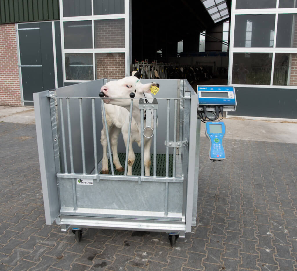 Kälberbox Mono - Topcalf